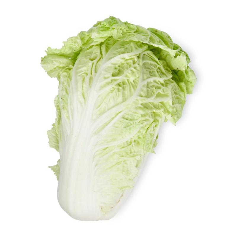 Organic Long Cabbage – QuanFa Organic and Green Tech